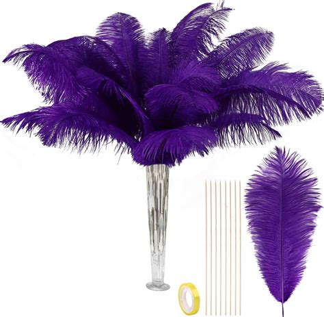Vijiv Natural Purple Large Ostrich Feathers Bulk 10 Pieces