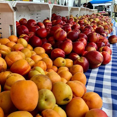 Oxnard Farmers Market Downtown Oxnard Ca