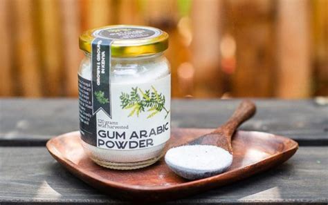 Gum Arabic Powder The Complete Faq Guide In 2025 Aipak