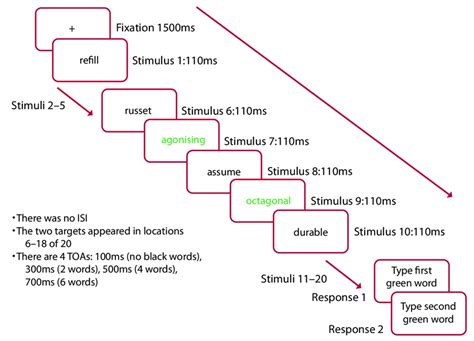 Outline Of An Example Trial In Experiment 2 Download Scientific Diagram