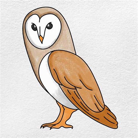 Owl Picture Drawing