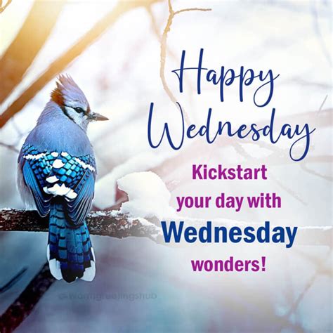65 Happy Wednesday Wishes Morning Greetings And Quotes