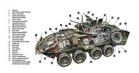 Lav 25