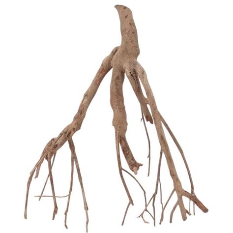 L Talawa Wurzel Nr2314