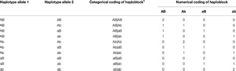 Numerical And Categorical Coding Of A Haploblock Formed By Two