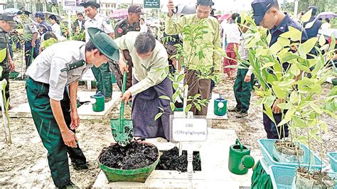 နိုင်ငံတစ်ဝန်း၌ ကမ္ဘာ့ပတ်ဝန်းကျင်ထိန်းသိမ်းရေးနေ့အထိမ်းအမှတ် မိုးရာသီသစ