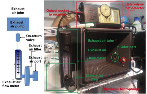 Assessing Olfaction Using Ultrasonic Vocalization Recordings In Mouse Pups With A Sono