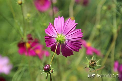 函数式编程能够解决哪些常见的编程问题？ 知乎