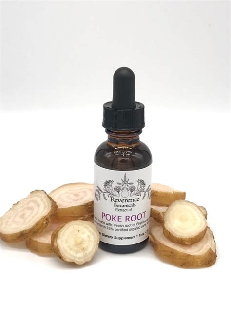 Poke Root Tincture Fresh Poke Root Extract Lymph Cleanser Etsy
