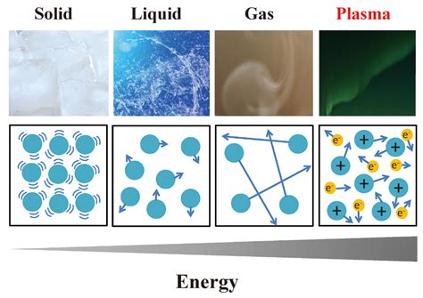 Recent Advances In Prion Inactivation By Plasma Sterilizer