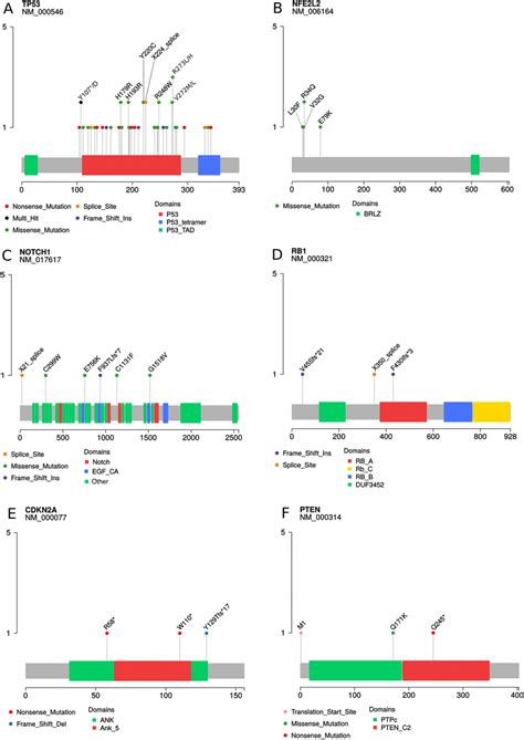 Lollipop Plot Of The Genes With The Highest Frequency Of Mutations