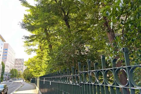 Excelマクロ超入門 フォルダ内の複数ファイル（excel・csv）を1つのブック・シート別に統合するマクロ Sou 公認会計士 谷 聡 Official Blog