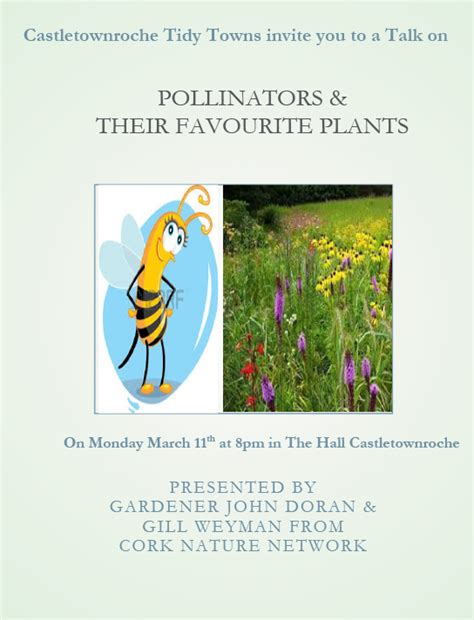 Pollinator Poster