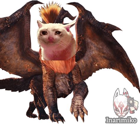 My Experience With Elder Dragons In Mhrise Rmhrise