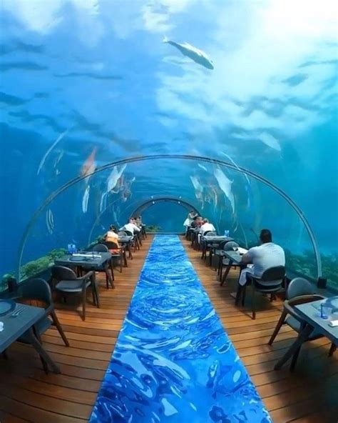 Underwater Dining At The Hurawalhi Maldives 🐟 🐠 🦈 📷 Iinumtarnii