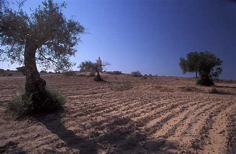 Jerba Pictures El Ghriba Synagogue Photography Gallery Of Jerba Tunisia Photos Of Jerba