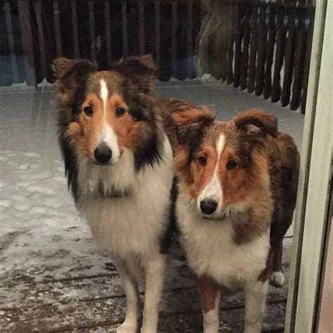Can You Tell Theyre Brother And Sister Scrolller