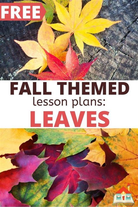 Lesson Plans On Farming Leaves Seasons Ect Artofit