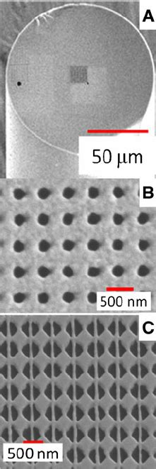 Scanning Electron Micrographs Sem Of Optical Fiber Tips Modified With
