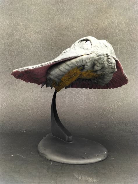 Hedorah Hedorah Flying Concept Life Name Club