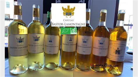 Lunivers Des Vins Blancs Secs Et De Sauternes Du Château Bastor