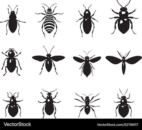 Bug Insect Royalty Free Vector Image Vectorstock