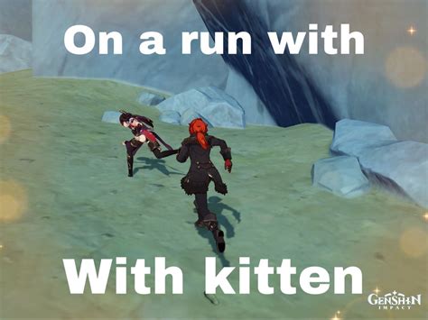 Discord Kitten Meme News Now Station