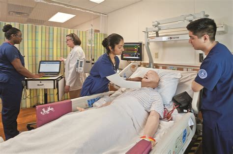 Nursing Bachelors Bsn Academic Programs The University Of