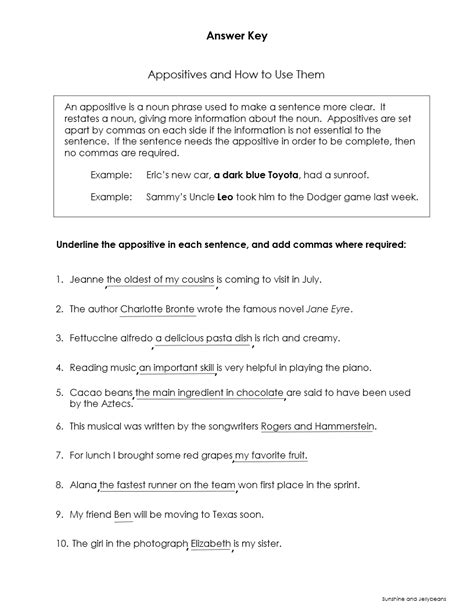 Appositives Understanding And Writing With Them 2 Worksheets