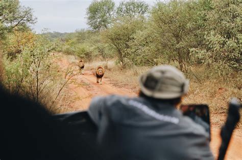 Campfire Academy We Recognise That Conservation Action Must Extend