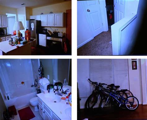 Missing Madalina Cojocari