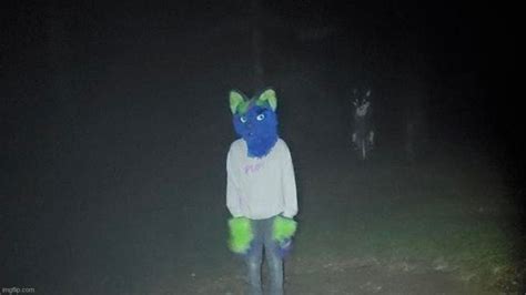 Day 3 Of Cursed Fursuits Because Why Not Xd Credit Goes To Odin Wolf