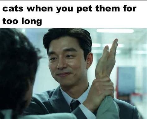 Pinterest In 2025 Some Funny Jokes Really Funny Memes Funny Cute Cats