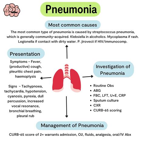 Quesmed 📚 Pneumonia Cheat Sheet