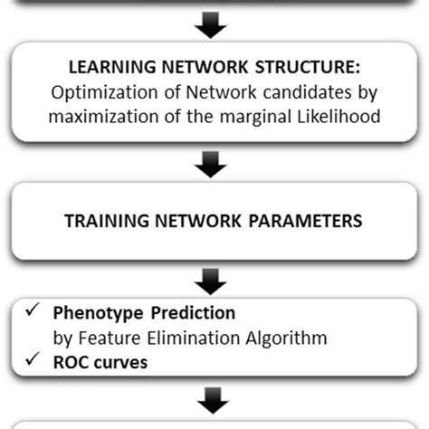 Bayesian Network Workflow Download Scientific Diagram