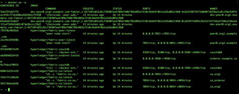 Hyperledger Fabric Fabcar Client Cant Connect To The Peer Node Stack