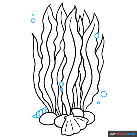 Seaweed Drawing Images At Brandi Stevens Blog