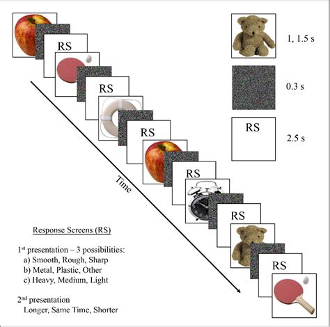 Pdf The Medial Temporal Lobe Supports Mnemonic Discrimination For