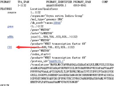 生物信息中的python 05 从 Genbank 文件中提取 Cds 等其他特征序列cds序列 Csdn博客