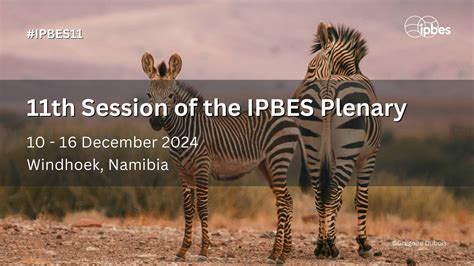First African Ipbes Plenary To Address Global Biodiversity Challenges