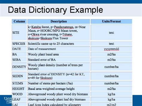 Data Management Documentation Metadata Types Of Documentation Data