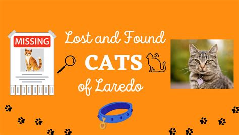 Lost And Found Laredo Cats