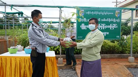 ဟိုပုံးမြို့နယ်၌ မိုးရာသီသစ်ပင်စိုက်ပျိုးရန် ပျိုးပင်များဖြန့်ဝေခြင်း