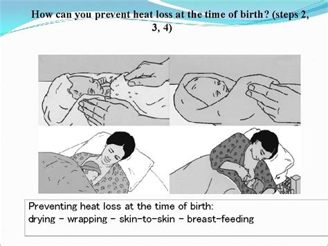 Temperature Control In The Neonate Learning Objectives Thermoneutral
