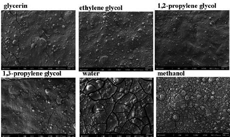 Surface Morphology Of Catalyst Layer Coated With Ink Containing A