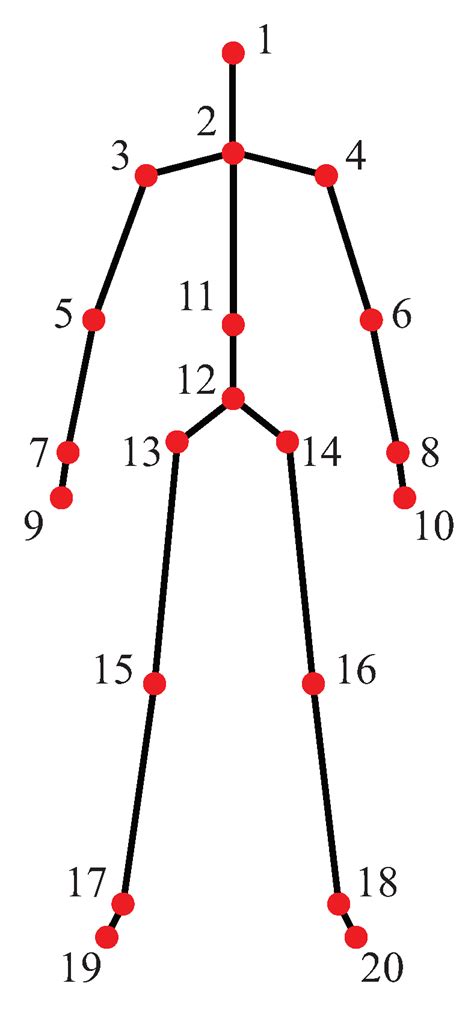 Human Skeleton Data Augmentation For Person Identification Over Deep Neural Network