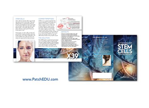 X39 Mini Blue Trifold Brochure 20 Pack Patchedu