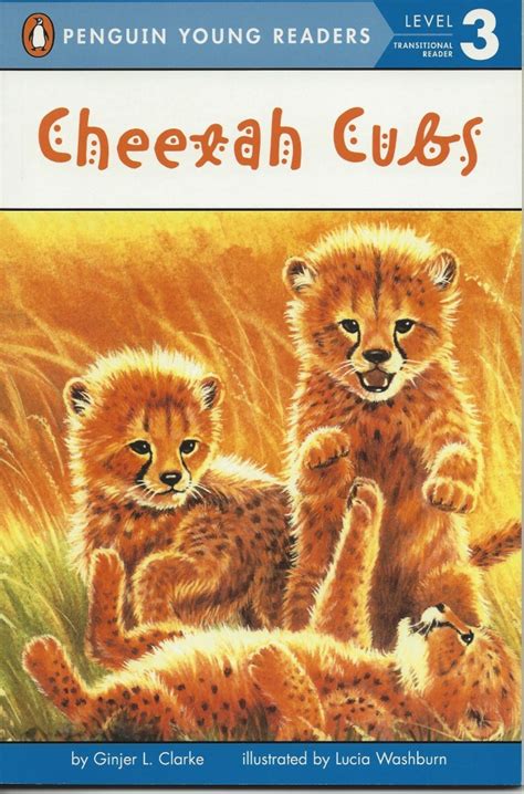 Cheetah Cubs Ginjer Clarke