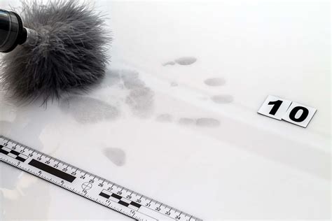 Courses And Programs For Csi Training Csi Academy