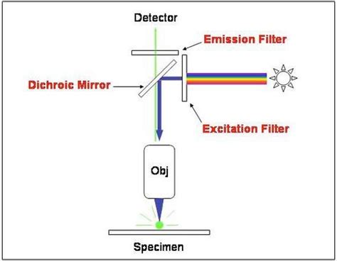 Melt 1107 Microscope Troubleshooting And Special Microscopy Flashcards